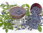 Tundra Honeyberry for Sale | Hardy Haskap Berries for Cold Climates ...
