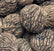 Black Walnuts for Sale | Whole Raw Black Walnuts in Shell – Weaver ...